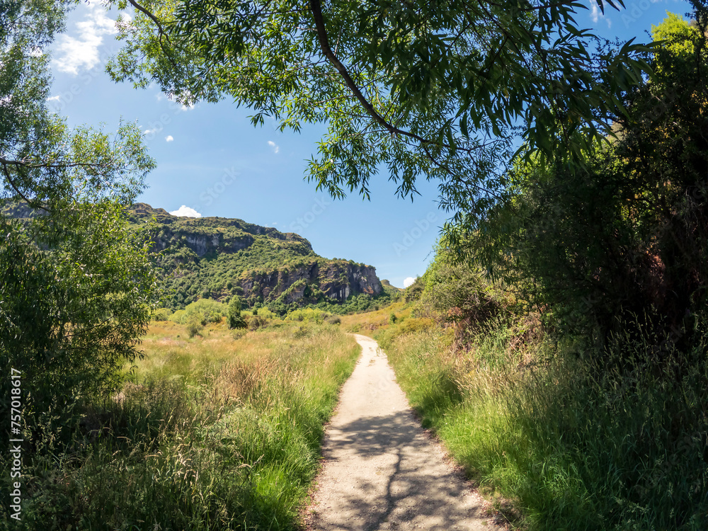 Diamond Lake Track: Native flora thrives amidst towering cliffs and ...