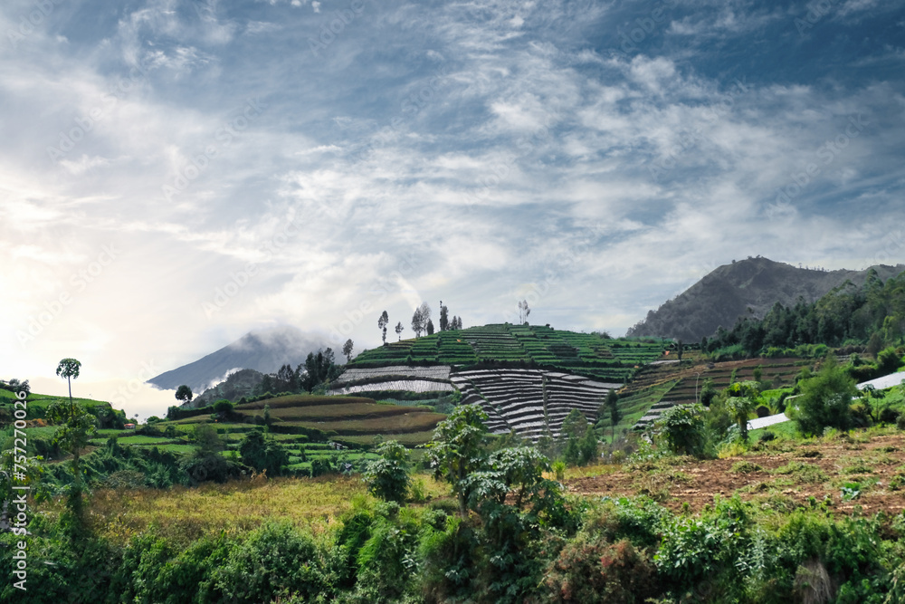 Farm land of Dieng, Wonosobo cultivated by local farmers to plant ...