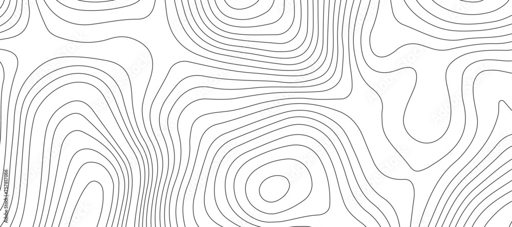 Topographic map background geographic line map pattern .panorama view ...