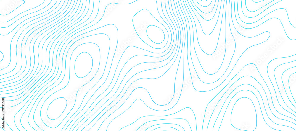 Topographic map background geographic line map pattern .panorama view ...