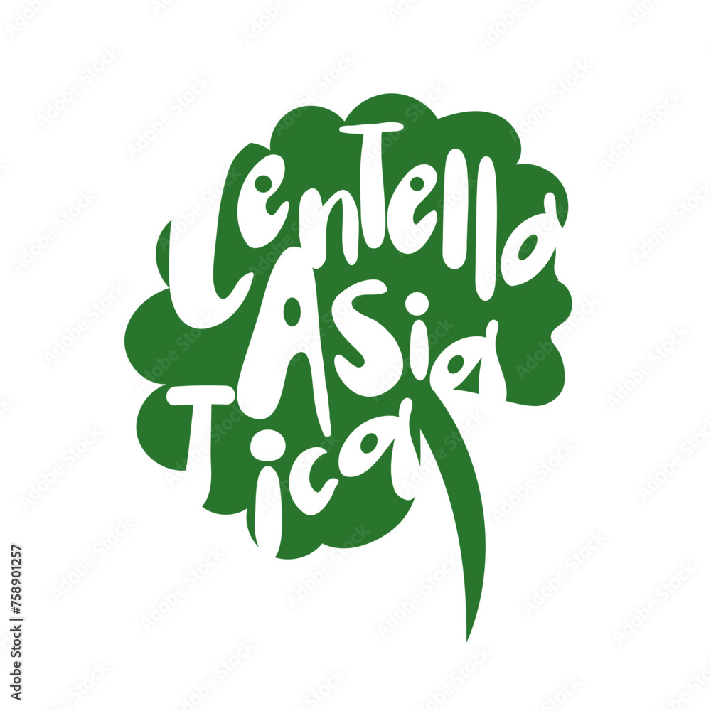 Centella Asiatica, CICA, Gotu Kola, Indian pennywort, coinwort, plant ...