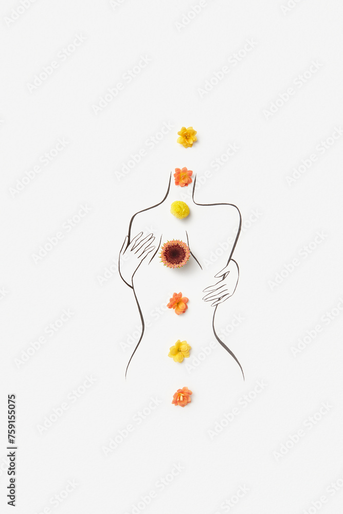 Fresh flowers arranged along drawn naked female body Stock Photo ...