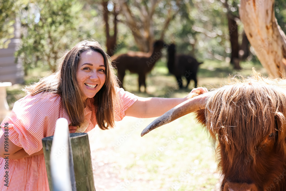 Woman patting Highland cow on farm Stock Photo | Adobe Stock