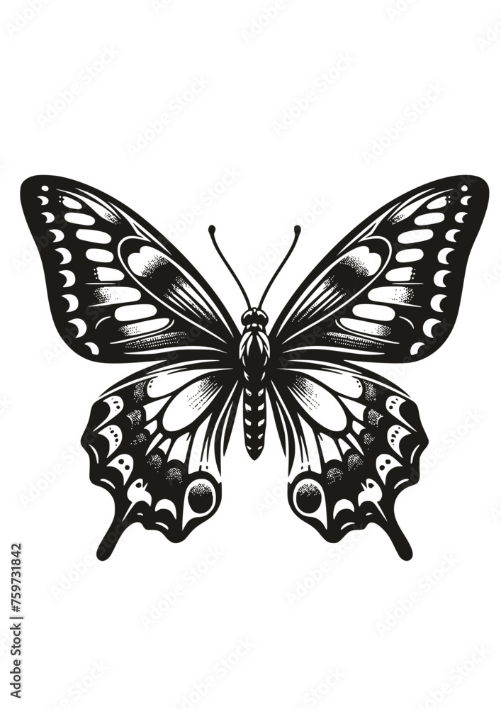 Image vectorielle Stock Butterfly SVG, Butterfly Logo, Butterfly ...