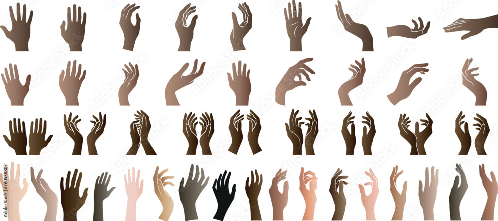 Diverse hand vector, multi ethnic hand gestures collection illustration ...