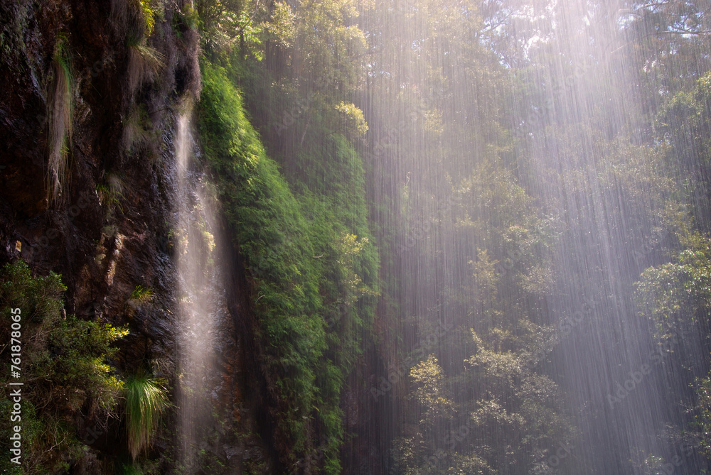 Hiking the waterfall circuit in Springbrook National Park, Queensland ...