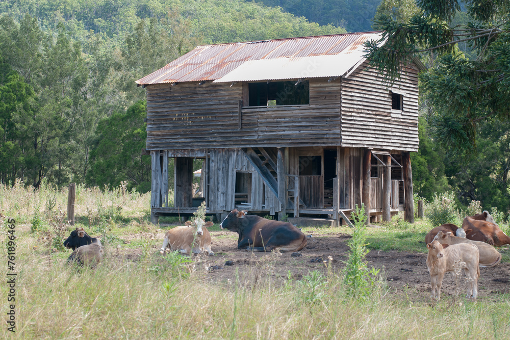 In the picturesque Queensland countryside, a rustic timber structure ...