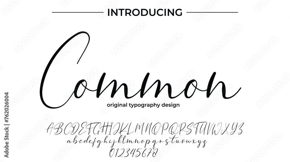Common Font Stylish brush painted an uppercase vector letters, alphabet ...