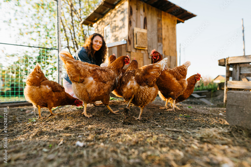 Joyful woman in chicken coop enjoying farm life by feeding chickens ...