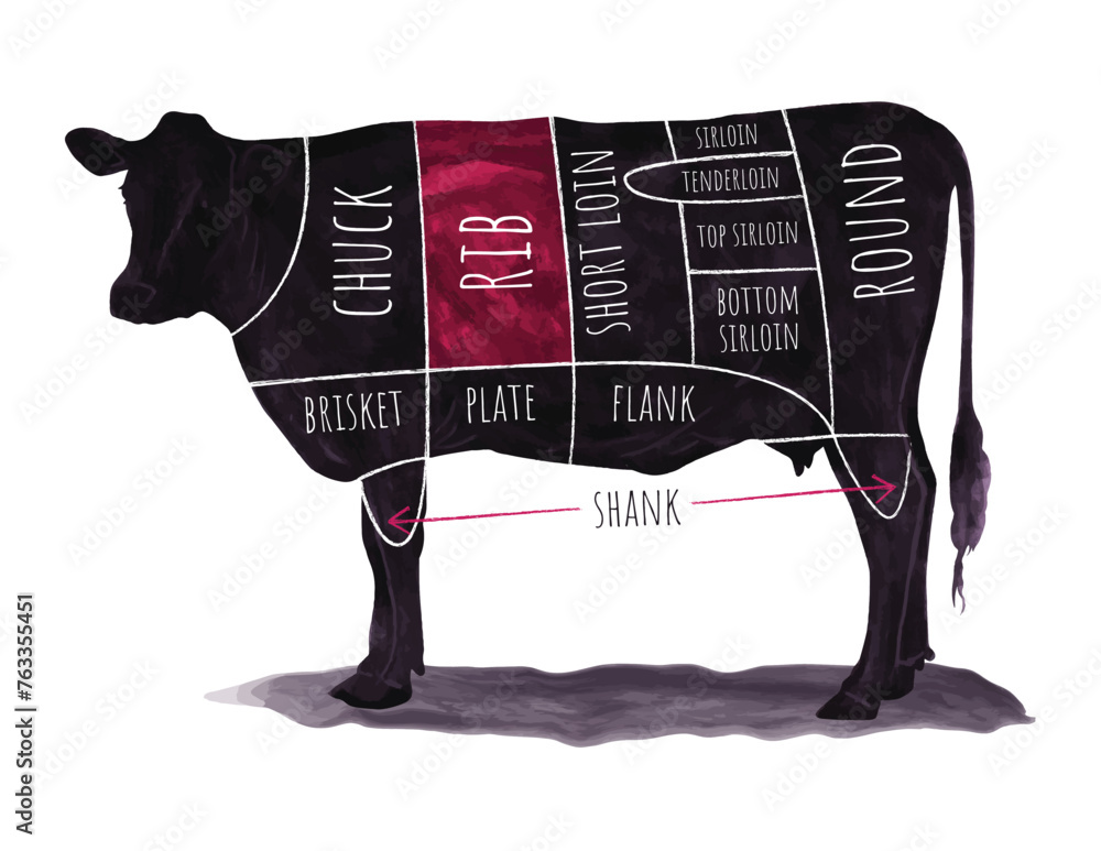 Illustrated beef cuts chart with labeled sections on a cow silhouette ...