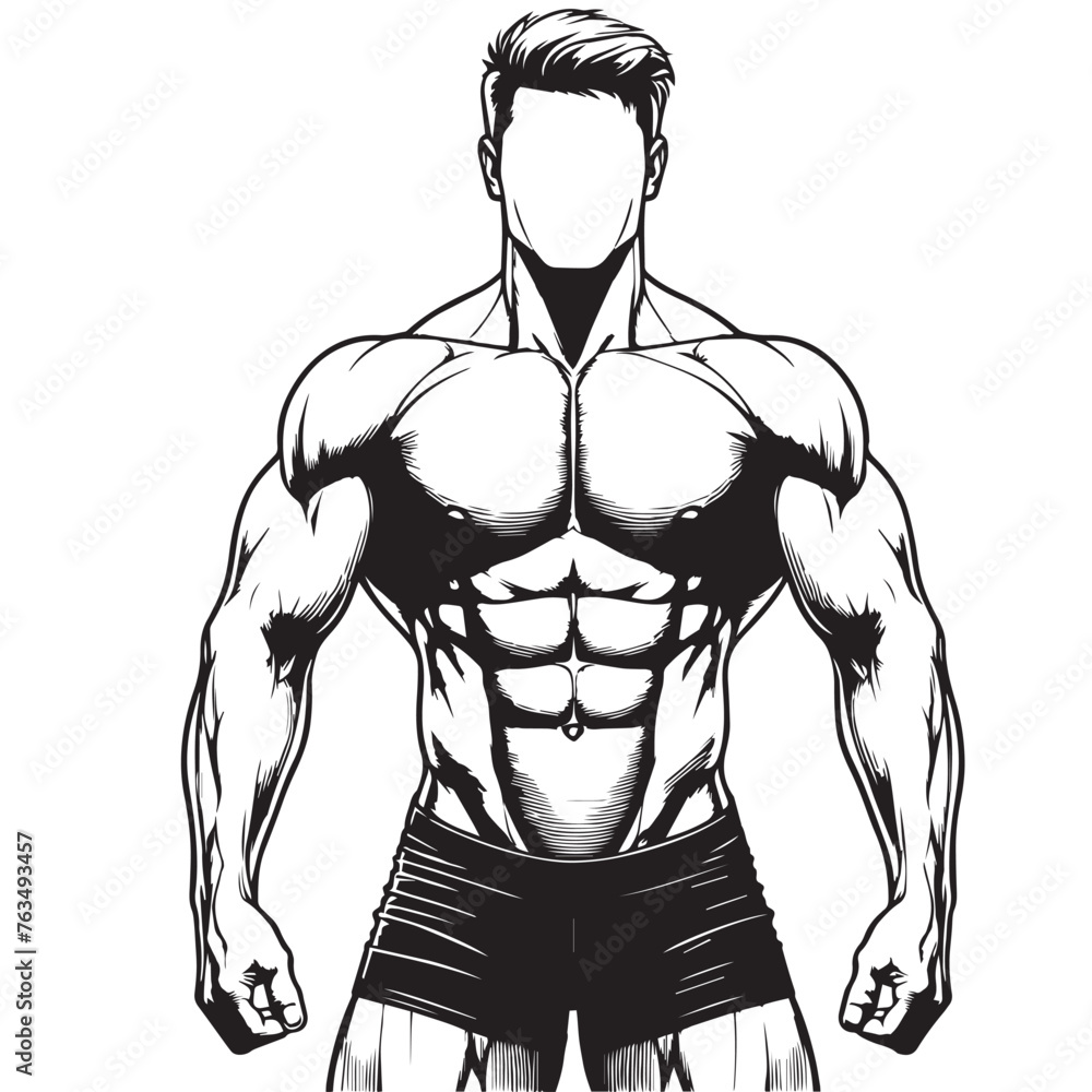 a clean body builder vector lines ,Muscular man in different poses ...