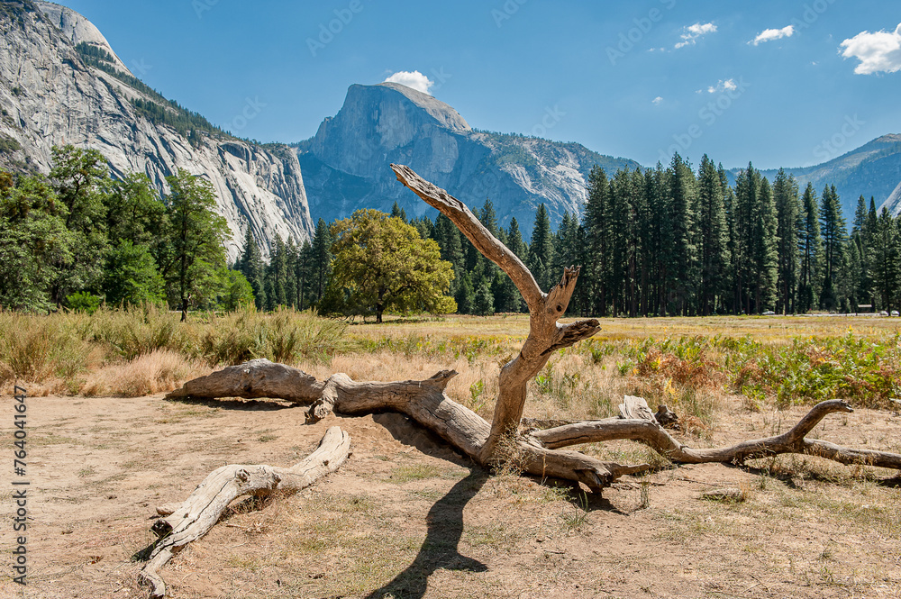 Foto de Stock Yosemite Valley in Yosemite National Park during ...