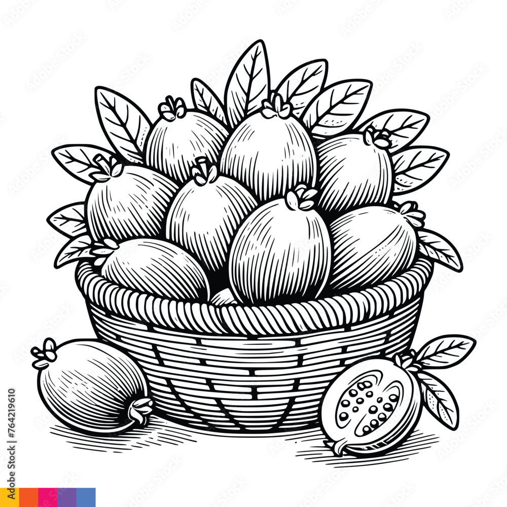 Fruit Basket line art illustration for the coloring book. Fruits ...