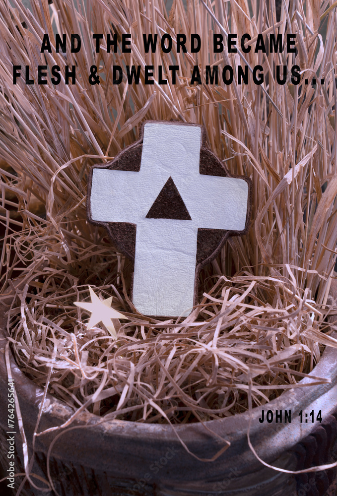 Straw grass surrounds the gold star in the stable bed where the white ...