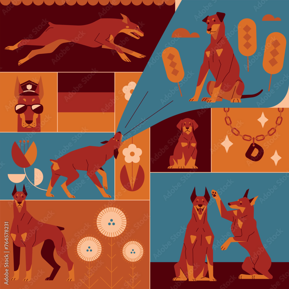 Doberman life. Conceptual poster consisting of divided sections ...