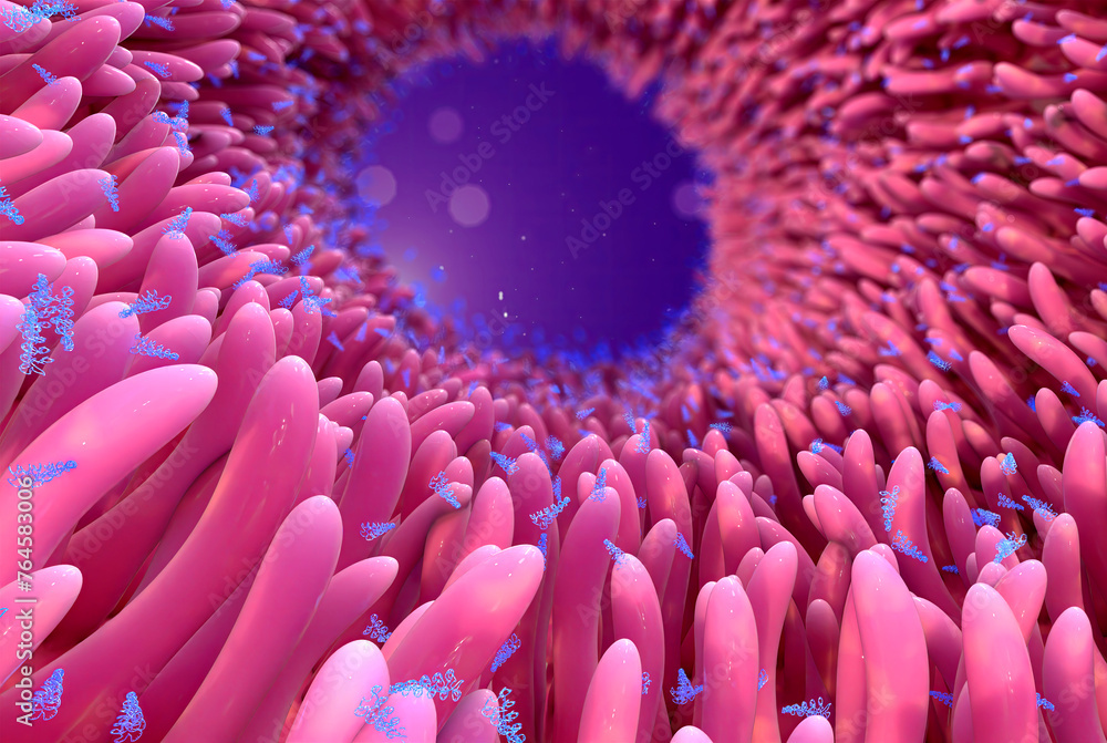 RNA obelisks in digestive tract, conceptual illustration Stock ...