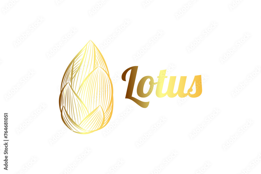 Gold lotus flower luxury design inspiration Isolated On white ...