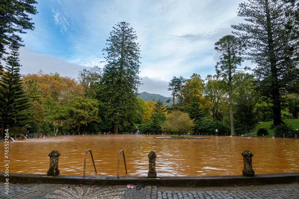 The famous yellow thermal pool in the Terra Nostra botanical garden at ...