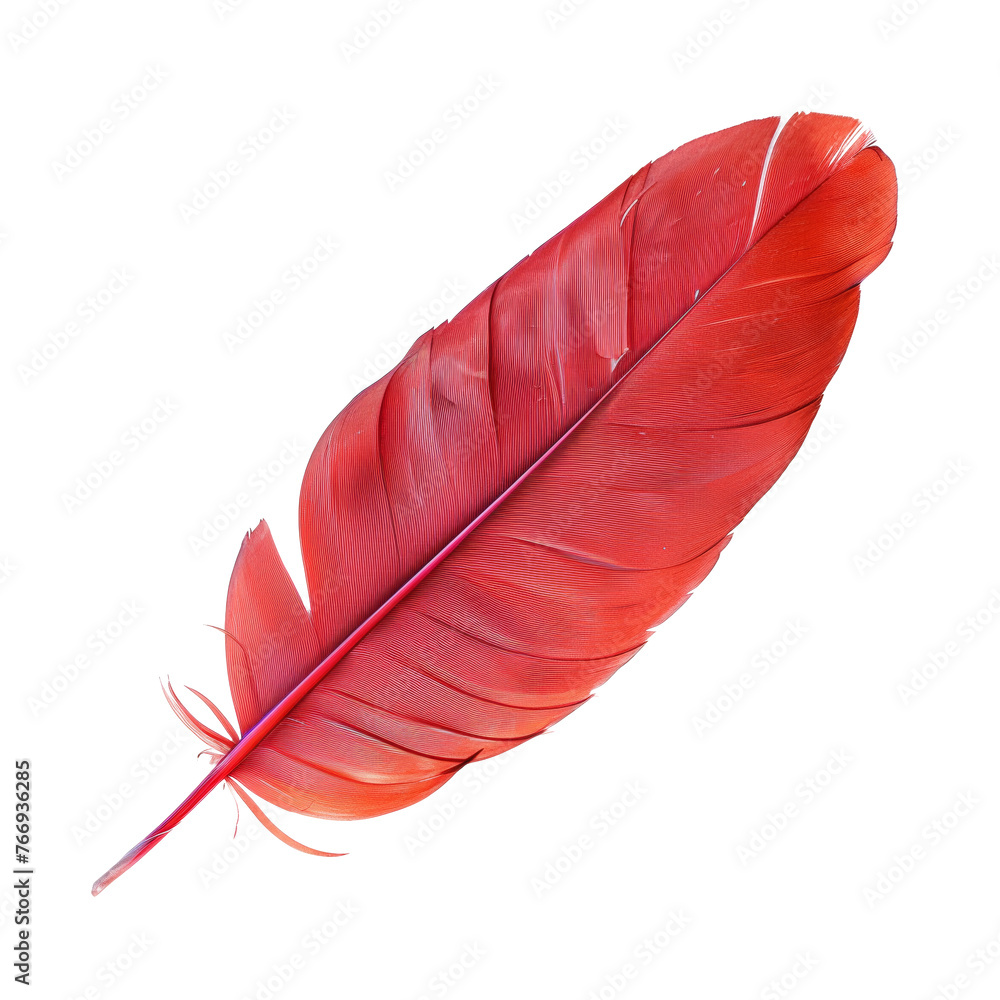 Single red feather with fine texture, cut out - stock png. Stock ...