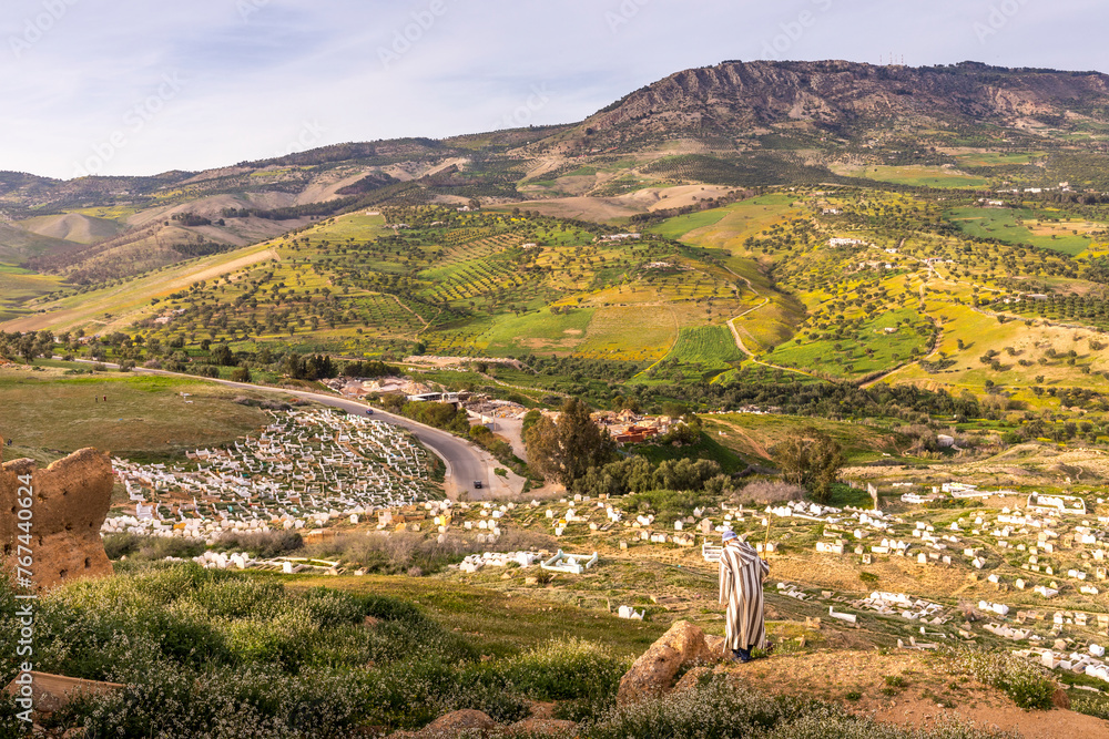 Fez, Morocco - March 17, 2024: Green Hill and muslim tombs viewed from ...