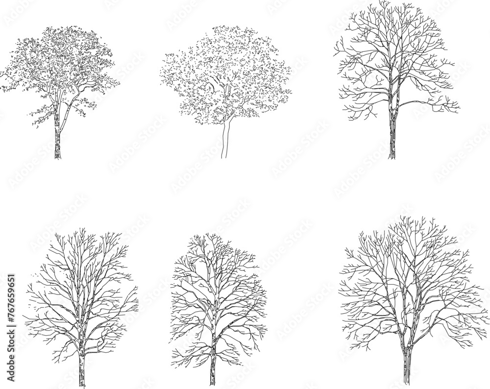 Adobe Illustrator Artwork Vector illustrator design sketch of a tree ...