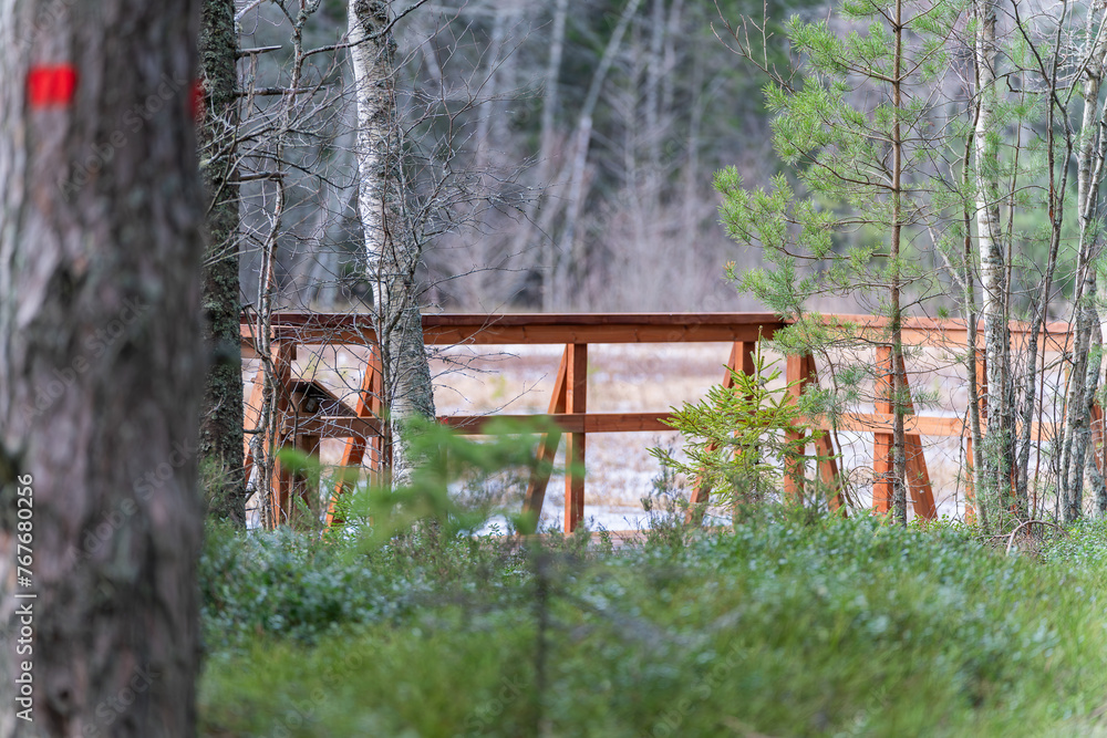 Tõrvanina marsh land with walking platform. Marsh observation platform ...