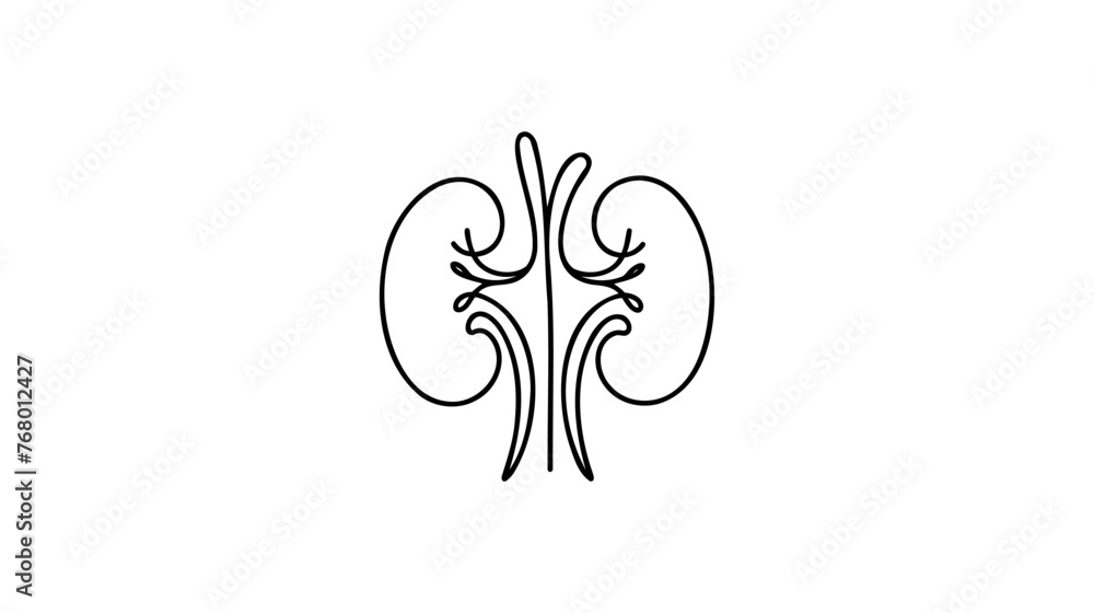 Human kidneys with ureters one line art. Continuous line drawing of ...