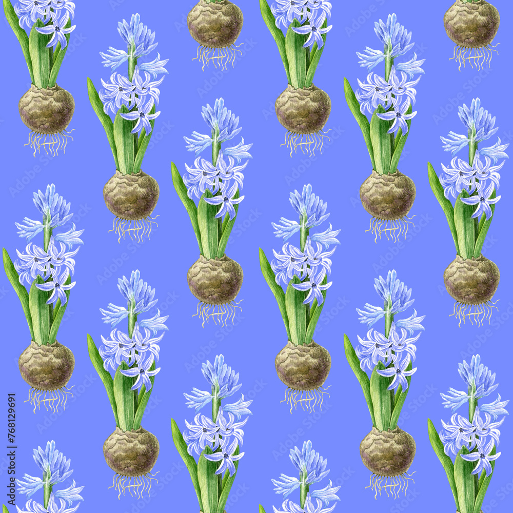 Seamless pattern of Blue spring flower hyacinth. Watercolor ...