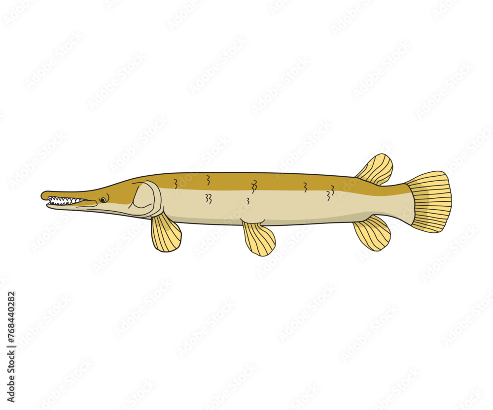 Illustration of a menacing Alligator Gar, highlighting its prehistoric ...