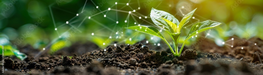 Zoomedin image of a smart agriculture IoT sensor in the soil, with a ...