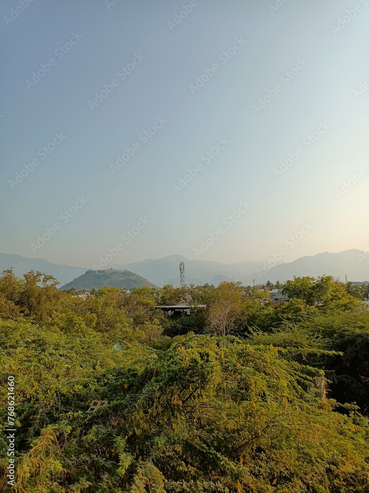 Foto de Stock The Palani Hills are a mountain range in the southern ...