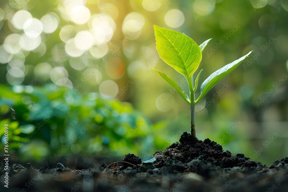 Sustainability background, climate change background, time to act ...