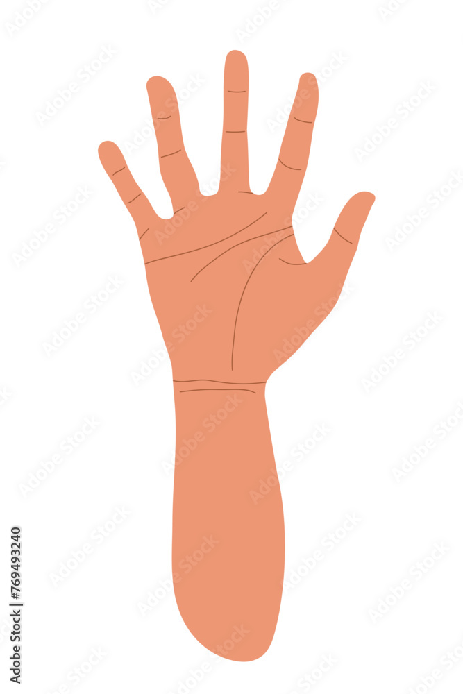 Open palm with melted fingers isolated on white background. Human hand ...