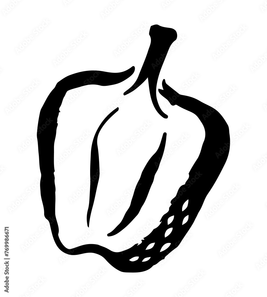 Bell Pepper drawing hand painted with ink brush. Png clipart isolated ...