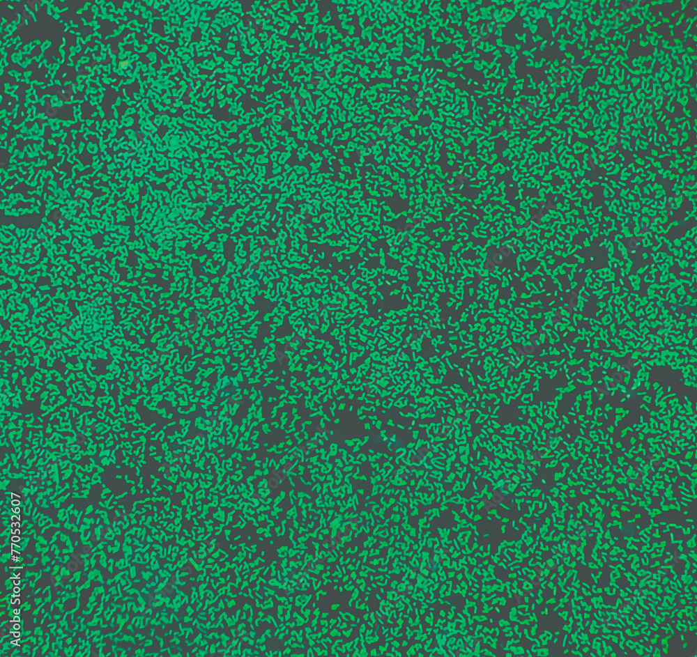 Salmonellosis. Microscopic view of gram stained slide from blood agar ...