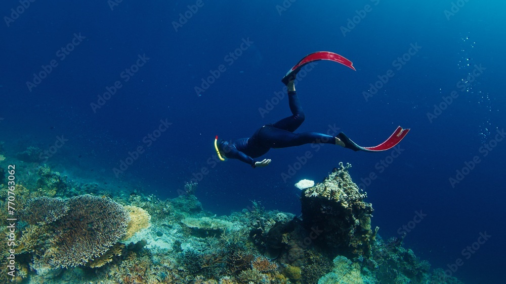 Freediving on the abundant healthy reef. Woman freediver glides ...