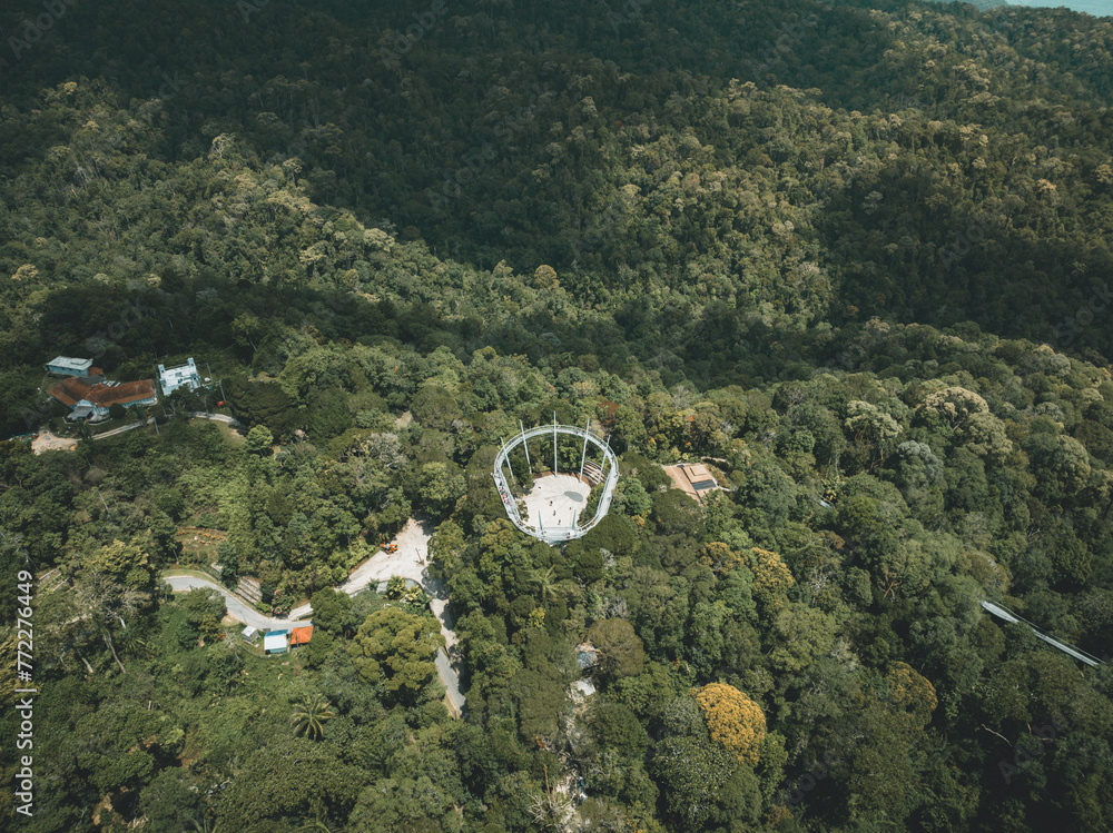Top down view of Curtis Crest Tree Top Walk - The highest accessible ...