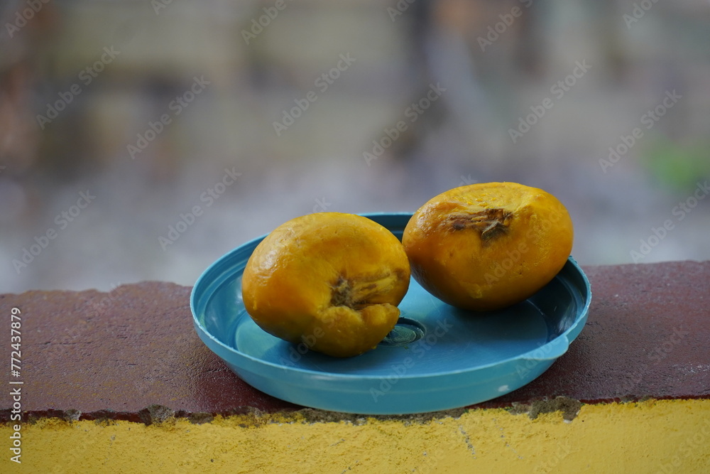 The pequi (scientific name: Caryocar brasiliense is a typical fruit of ...