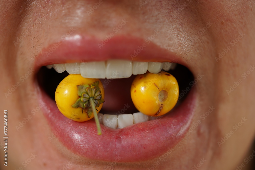 Muruci fruits (Byrsonima crassifolia), also known as murici, from a ...