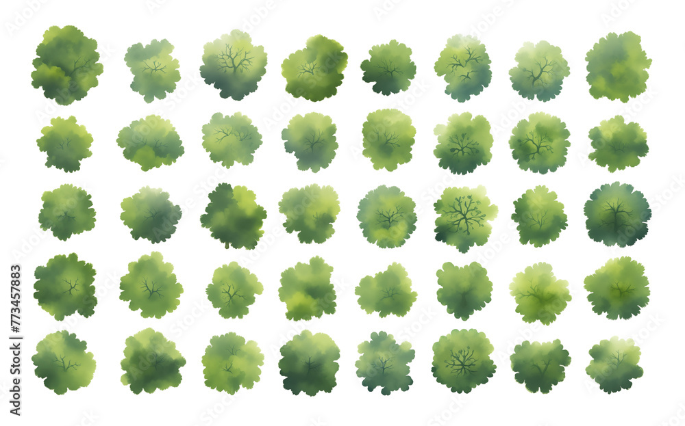 Various green trees, bushes and shrubs, top view for landscape design ...