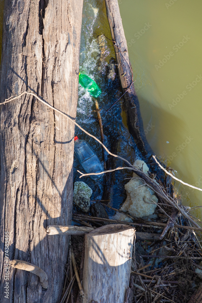 Plastic waste trapped between tree stumps in a river. Concept for ...
