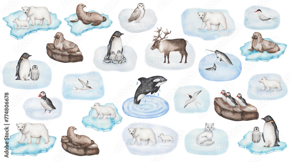 Watercolor set of illustrations. Hand painted animals of Arctic and ...