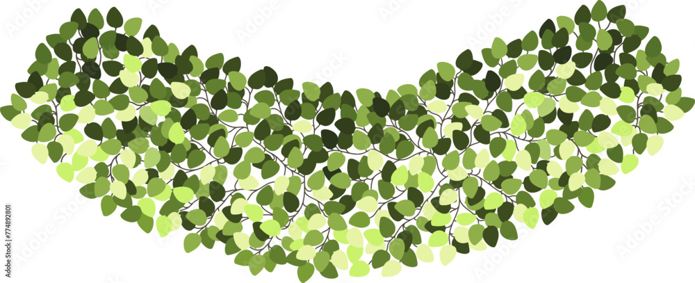 Bush for architectural floor plans. Entourage design. Top view tree for ...