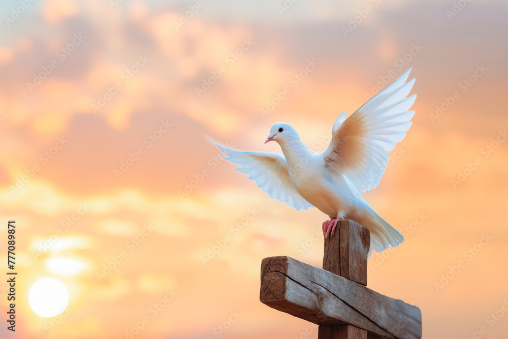 White dove with spread wings standing over the holy cross of Jesus Christ symbolize death and ...