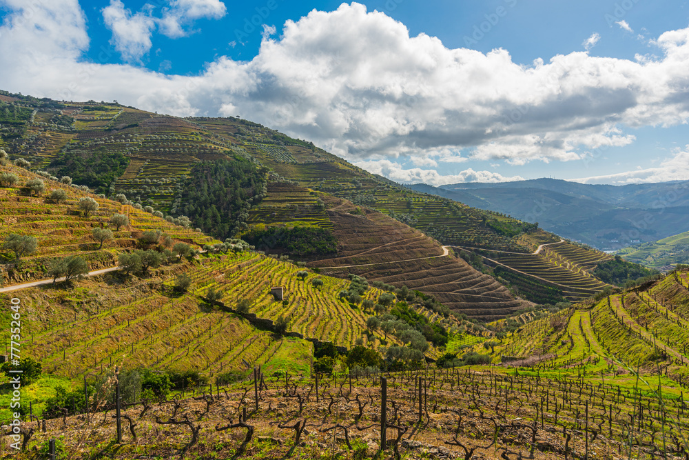 Douro Valley,Portugal. The Douro Valley is a Portugal's most famous and ...
