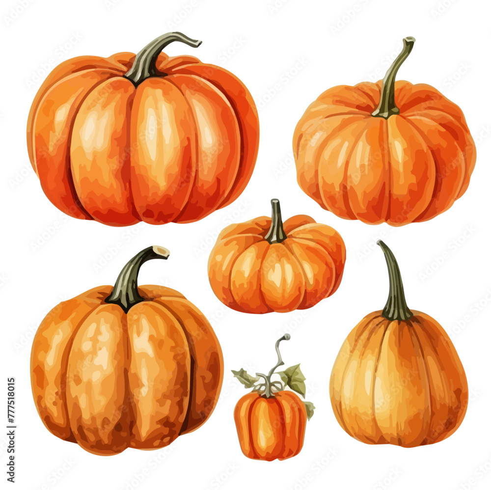 Watercolor painting vector of set pumpkin, isolated on a white ...