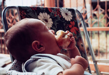 Fruit Apple Vintage Old Free Stock Photo - Public Domain Pictures