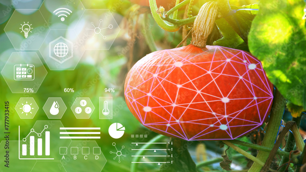 Pumpkin with infographics, Smart farming and precision agriculture 4.0 ...