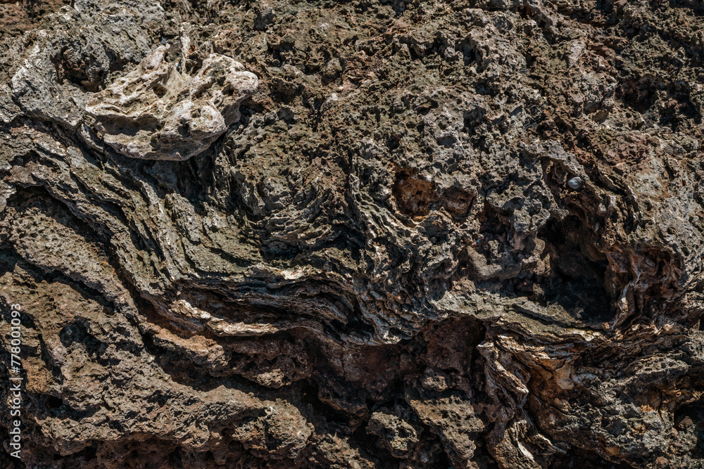 Shark’s Cove North Shore Oahu Hawaii. reef deposits. Snorkeling ...