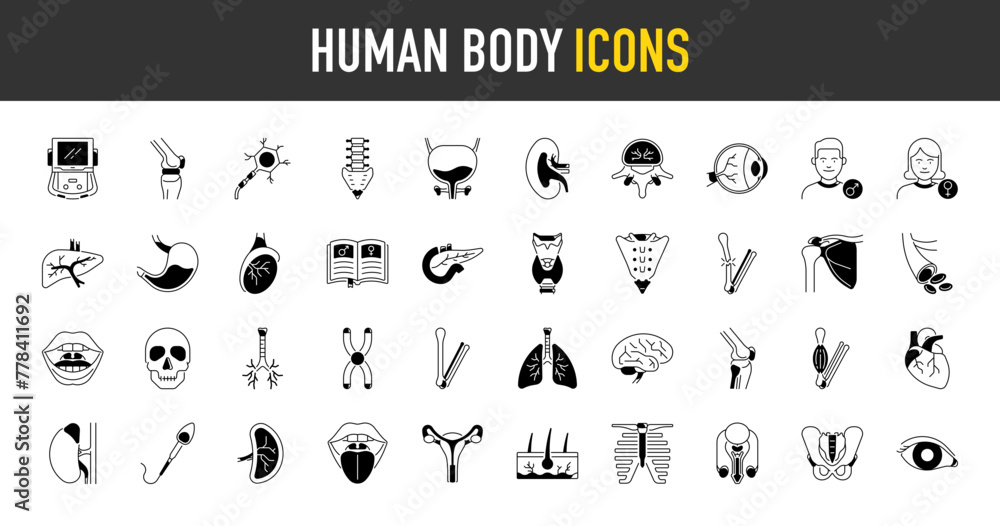 Human body parts and organs icons set. Such as shoulder, liver, heart ...